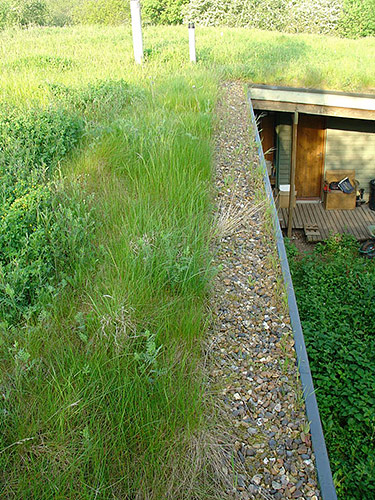 New Build S11a: The Drainage Gulley - Small Scale Green Roof Guide