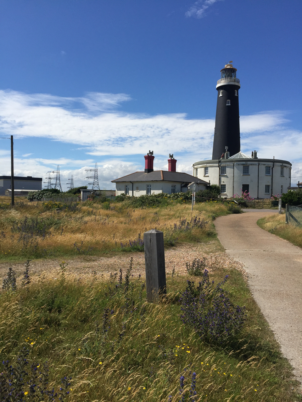 Dungeness - place for tough plants - Small Green Roofs Guide