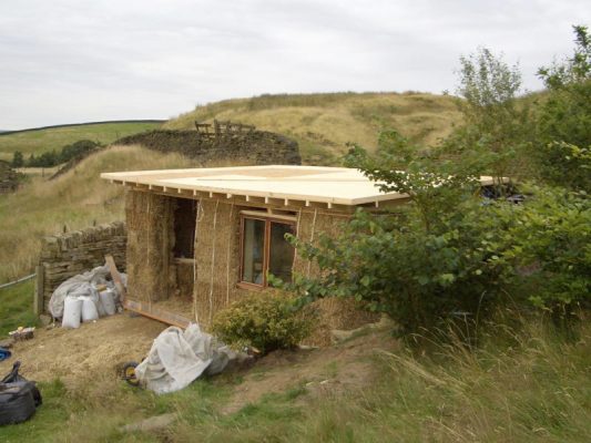 The Vital Guide for Small Green Roofs