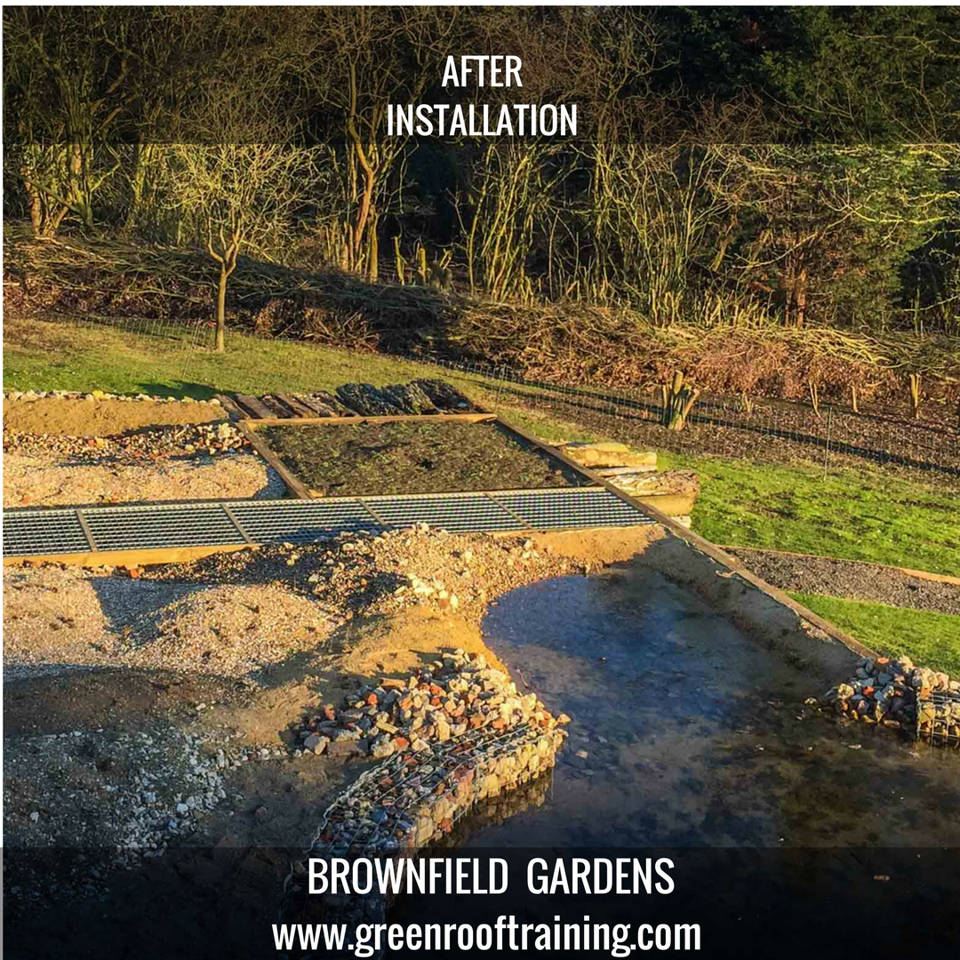 Beyond roofs: Brownfield gardening