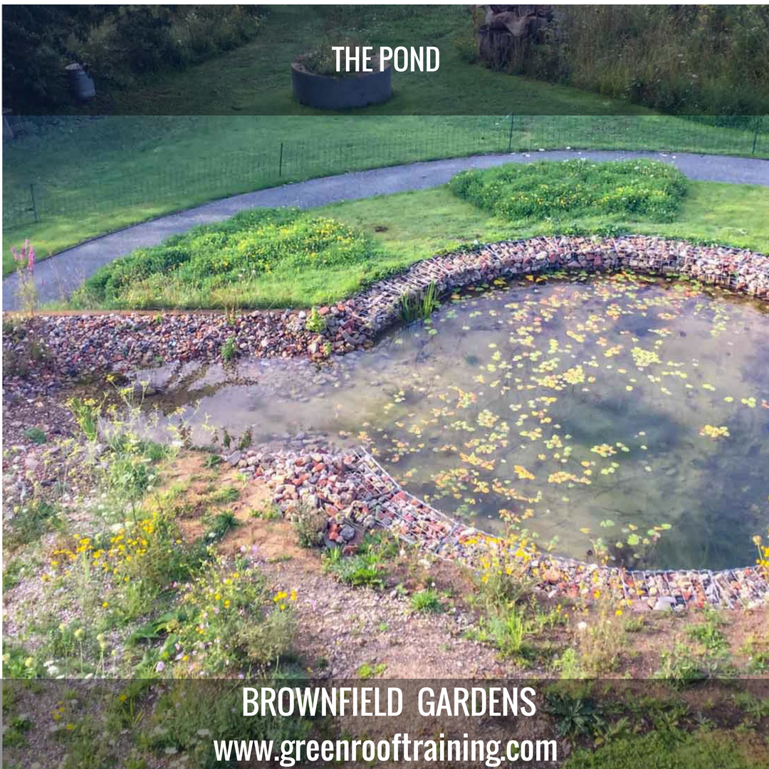 Beyond roofs: Brownfield gardening