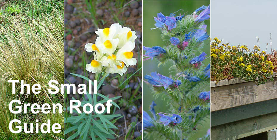 A Guide on How to Design and Build DIY Small Green Roofs